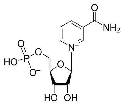 Nicotinamide Mononucleotide NMN 1094 61 7