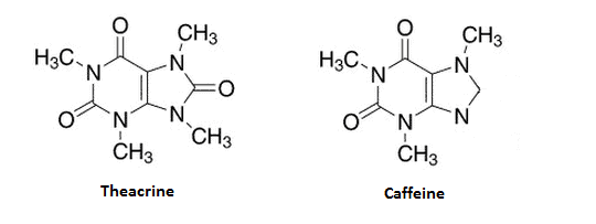 theacrine,camellia assamica,kucha tea,tetramethyluric acid
