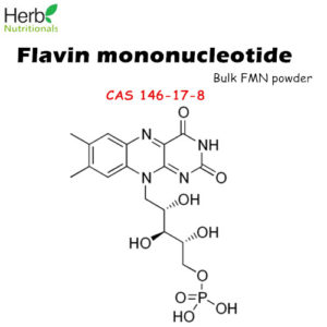 Bulk Flavin mononucleotide,FMN,146-17-8